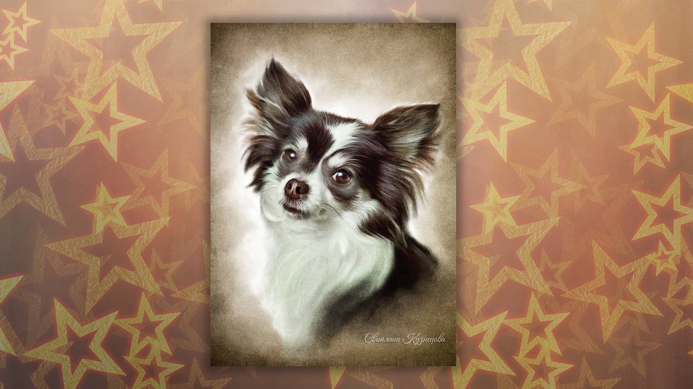 Портрет очень милой собачки