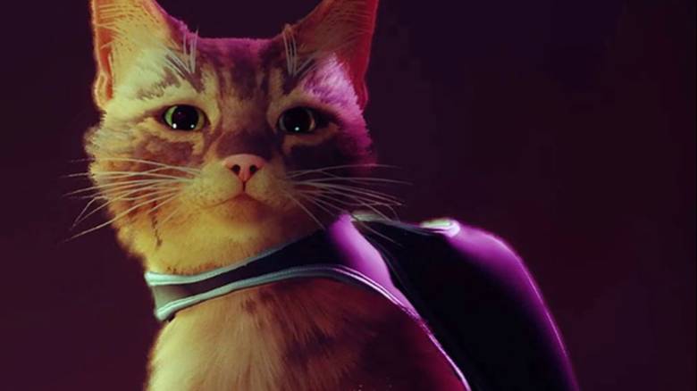 ИГРАЮ-ЗА КОТИКА)) -Stray