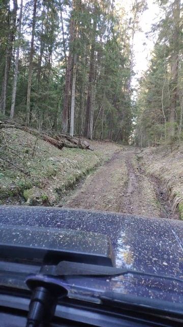 Продвигаемся на Ниве по оврагу, поднимаемся вверх.