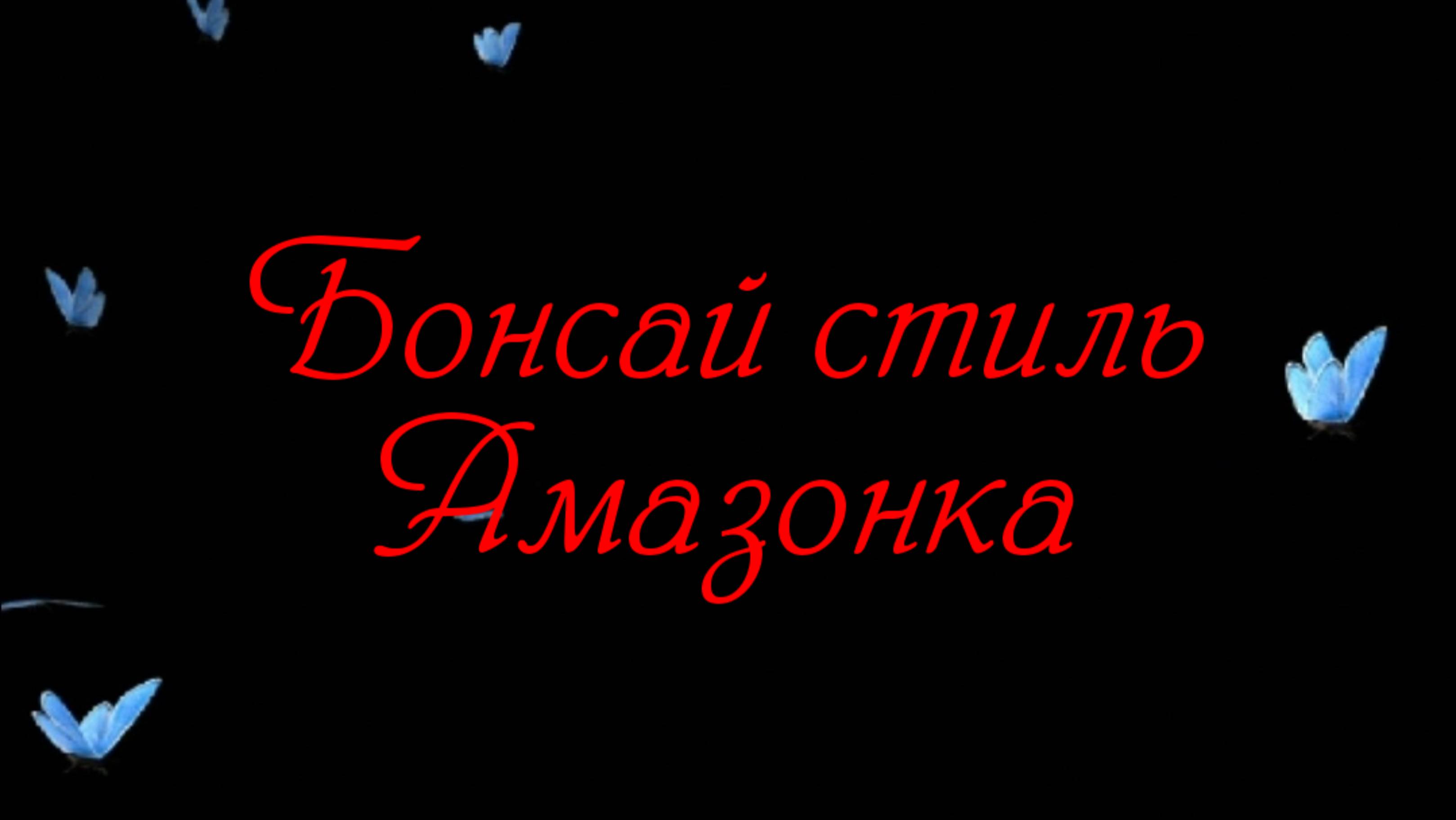 Бонсай из Мирта стиь амазонка 7 лет.