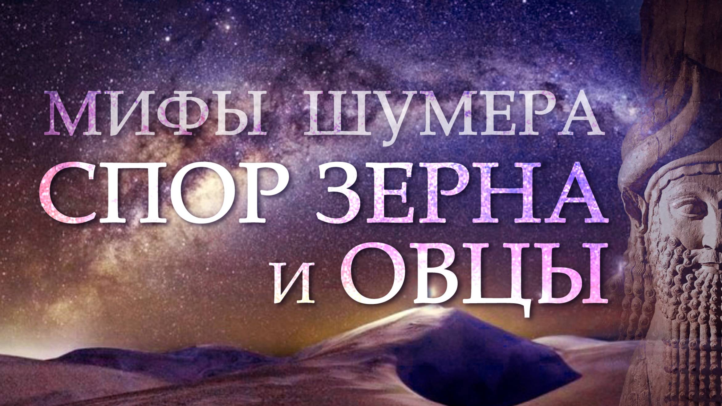 №12 Спор зерна и овцы