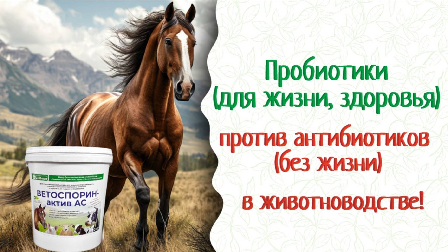 Инновации, биопрепараты для животных. Выставка «Агротехнологии». Пермь, БашИнком