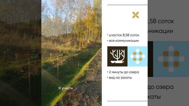 #УчасткиТапио_участок№102