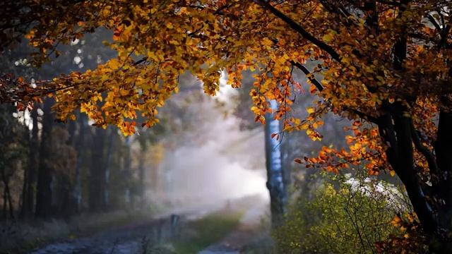 ПРЕКРАССНАЯ,УТРЕННЯЯ МУЗЫКА.ПОЗИТИВНАЯ ЭНЕРГИЯ.МЕДИТАЦИОННАЯ МУЗЫКА ДЛЯ ПРОБУЖДЕНИЯ.