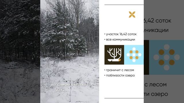 #участкиTapio_Участок№149