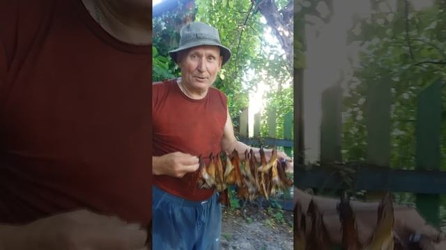 Караси копченые. Вот это вкусняшка!  #карась #михалычдачник #рыбалка