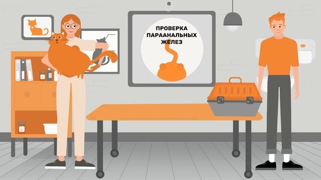 Ежегодная диспансеризация