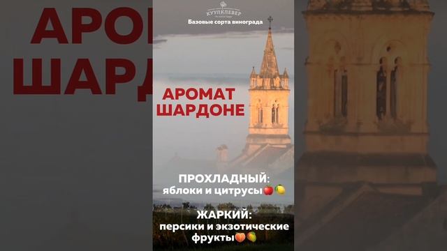 Путеводитель по Коллекциям СОМЕЛЬЕ. Базов белые сорта винограда