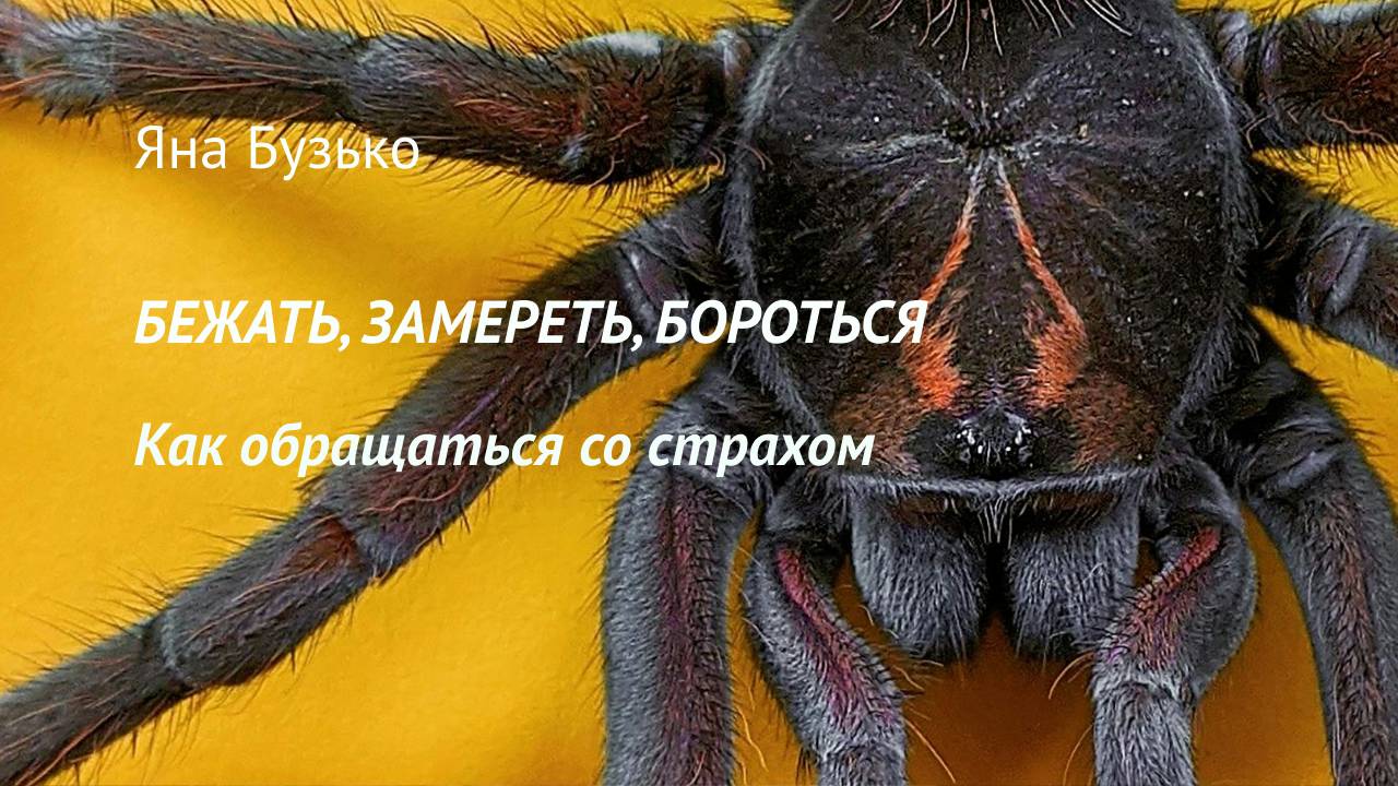 О чем сигналит страх