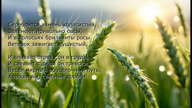 Иван Бунин — На просёлке. Песня 2025г