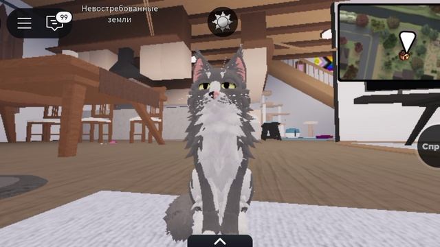 История моего кота