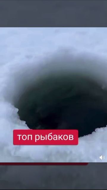 рыбак номер один