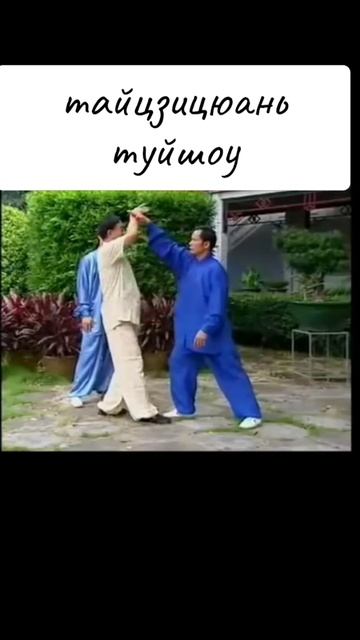 Ли Чжэн. 05 дань туйшоу цзибэньгун тайцзицюань