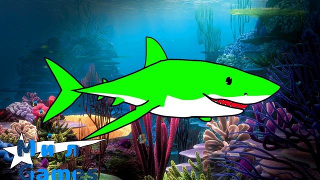 Акулёнок и его семья!!! Охота на рыб