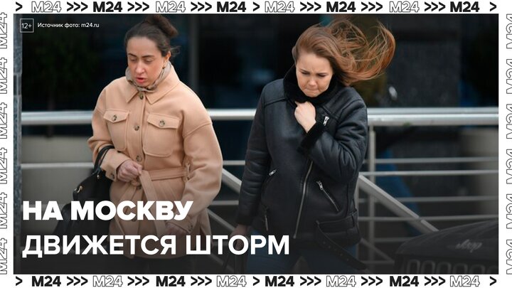 Синоптики предупредили о приближении к Москве 9-балльного шторма - Москва 24
