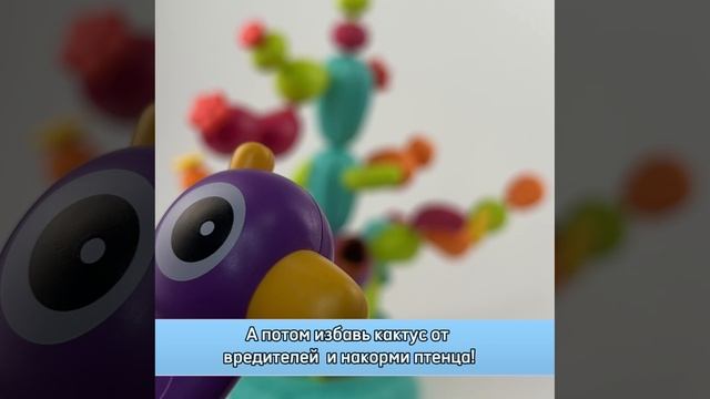 LP201731053 Кактусы и насекомые