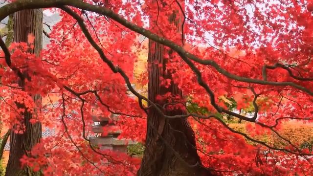 Глубокая расслабляющая музыка | Успокаивающие ambient-звуки для сна, медитации и концентрации