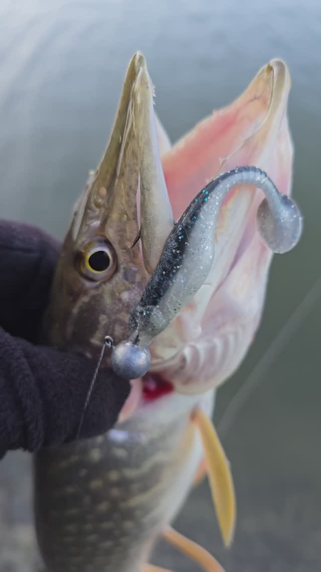 Приманка на щуку 👍