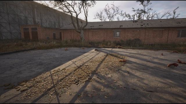 S.T.A.L.K.E.R 2 НОВЫЙ ПЕРСОНАЖ - БЕЛКА