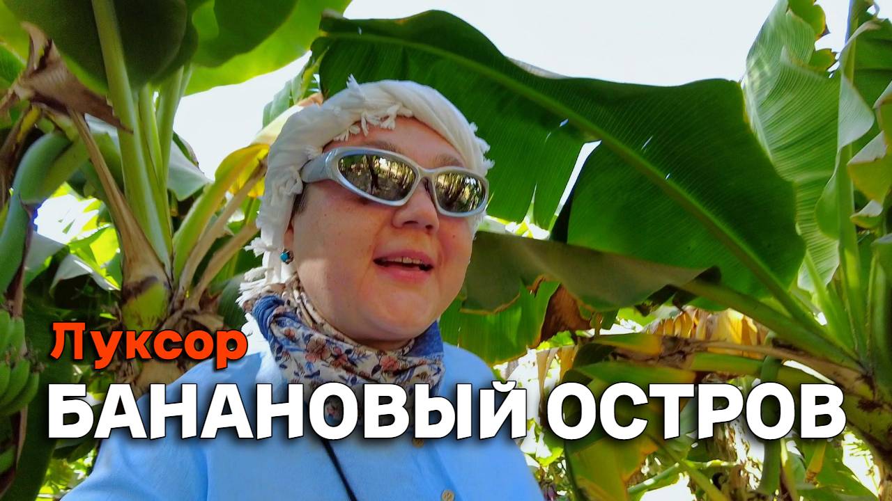 Египет. Путешествие на лодке по Нилу. Банановый остров: как растёт каркаде, базилик. Зоопарк