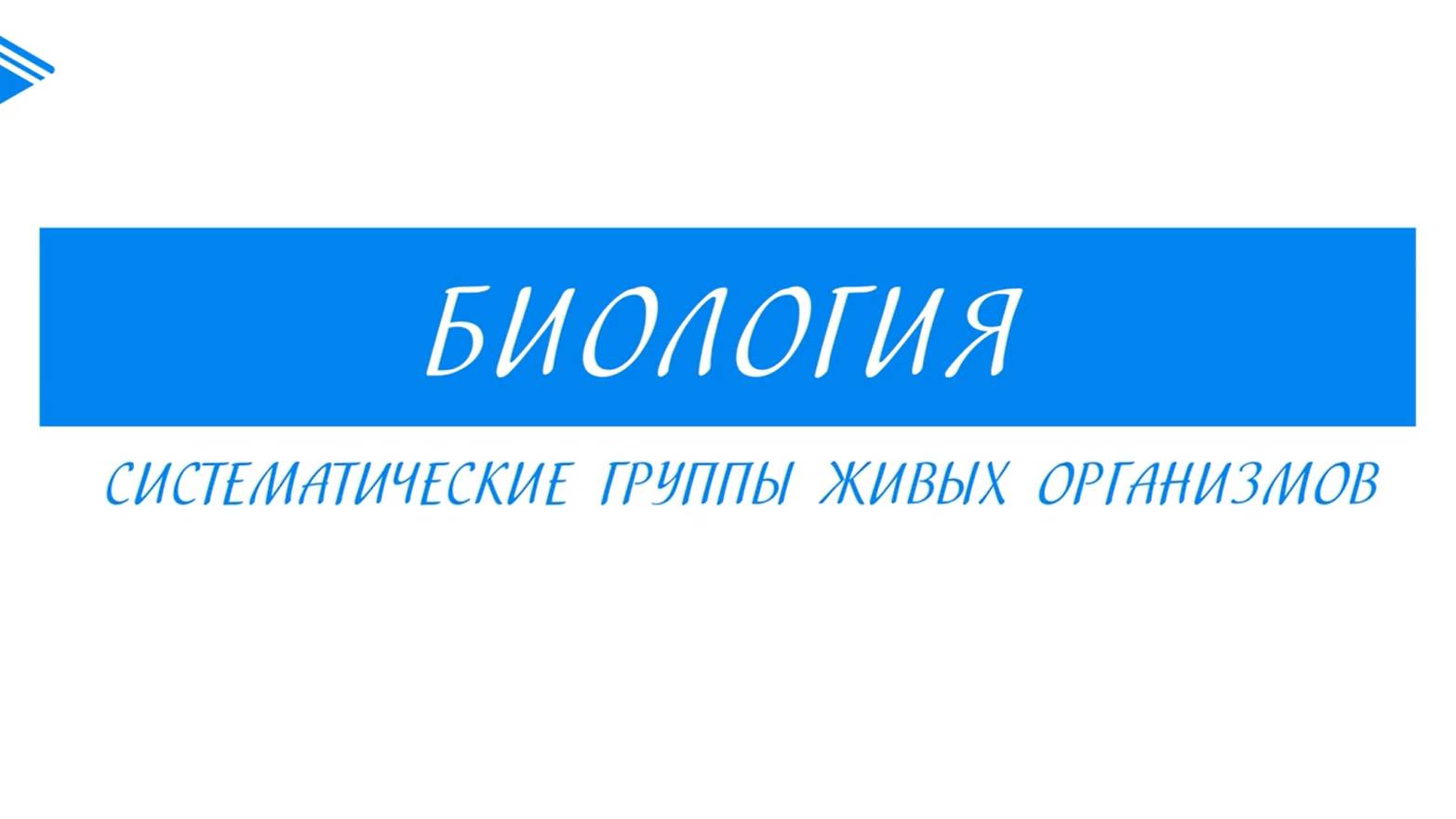 6 класс - Биология - Систематические группы живых организмов