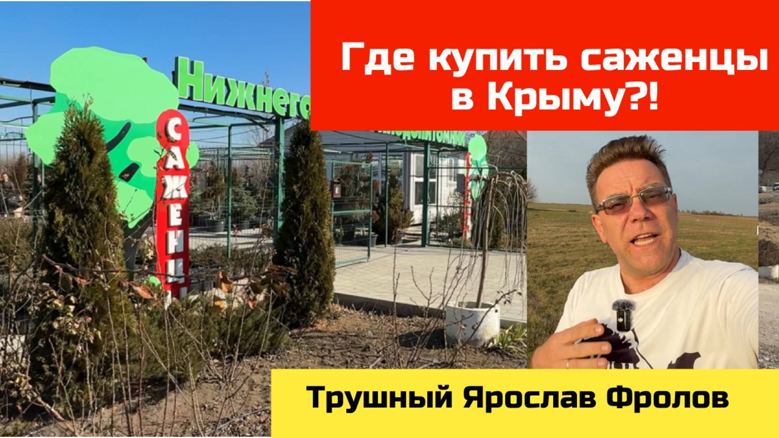 Где купить саженцы в Крыму | Трушный канал Ярослава Фролова