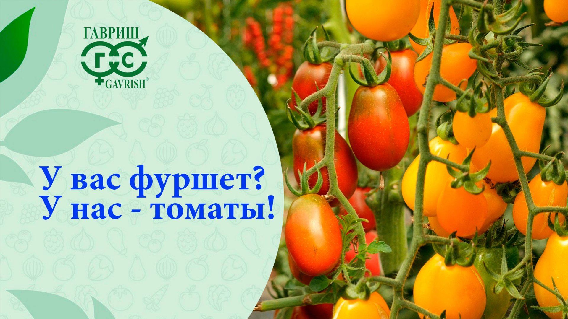 КОКТЕЙЛЬНЫЕ ТОМАТЫ