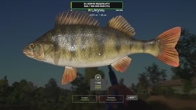 Русская рыбалка 4  13.03.2025