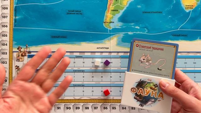 "Фауна" - семейная настольная игра (Huch!, Стиль Жизни)