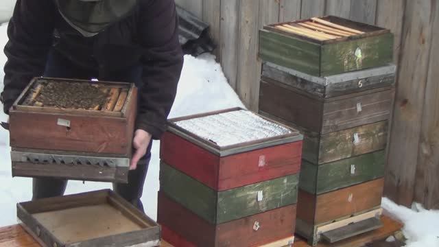 Семьи в огороде.  Замена дна и нижнего корпуса. Сюжет 2й