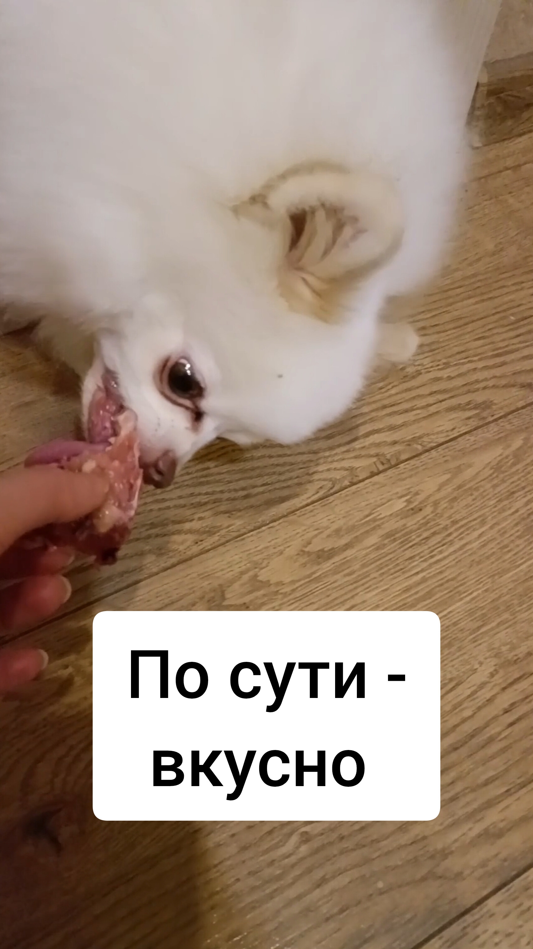 По сути вкусно