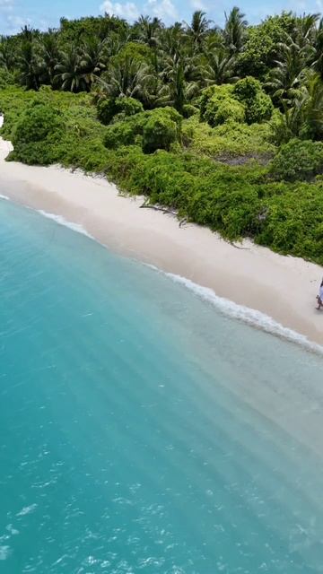 Идеальный день на Тодду🌴🌞