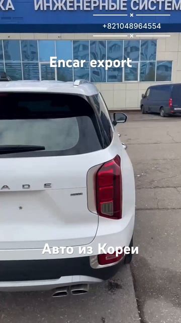 Авто из Кореи. Под заказ . Encar export #encarexport #automobile #автоизкореи #машиныизкореи
