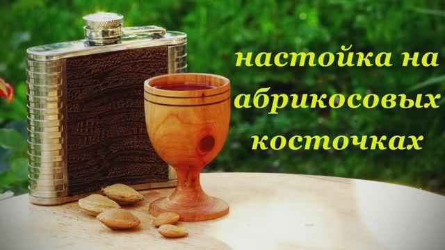 🥃Настойка на Ядрах Абрикосовых🍑