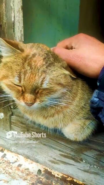 __ #gyumri #aleksandropol #ленинакан #гюмри (1)