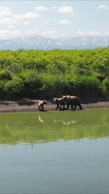 Братья наши меньшие😉😊😁