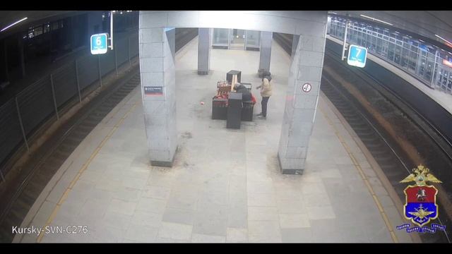 Столичные транспортные полицейские задержали мужчину, обокравшего пассажирку на ж/д платформе