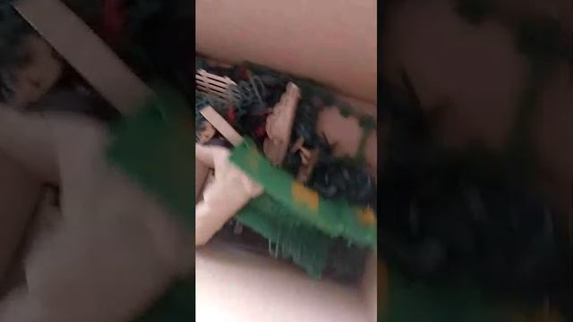 бомбардиров битва