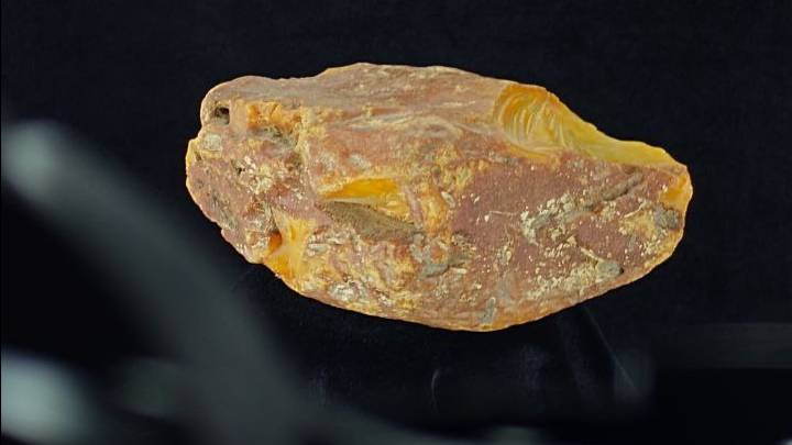 Фотограмметрия в Музее янтаря