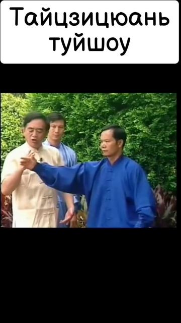 Ли Чжэн. 03 дань туйшоу цзибэньгун тайцзицюань