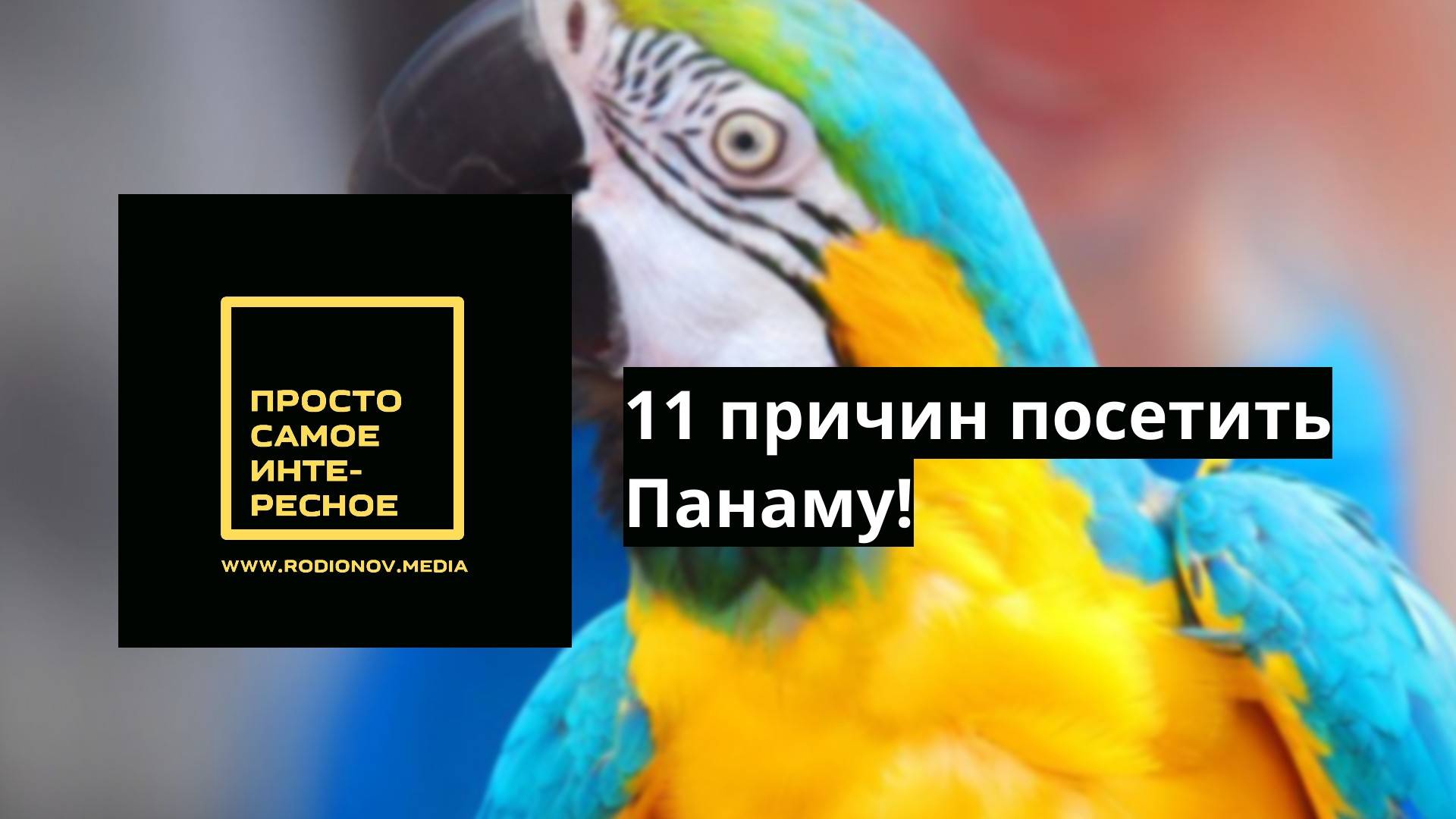 11 причин посетить Панаму!