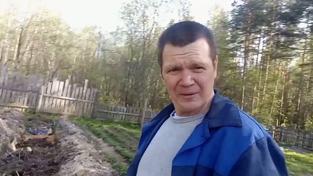 Теплая грядка Грядка Хольцера