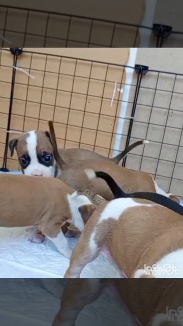 53 Норма или патология?