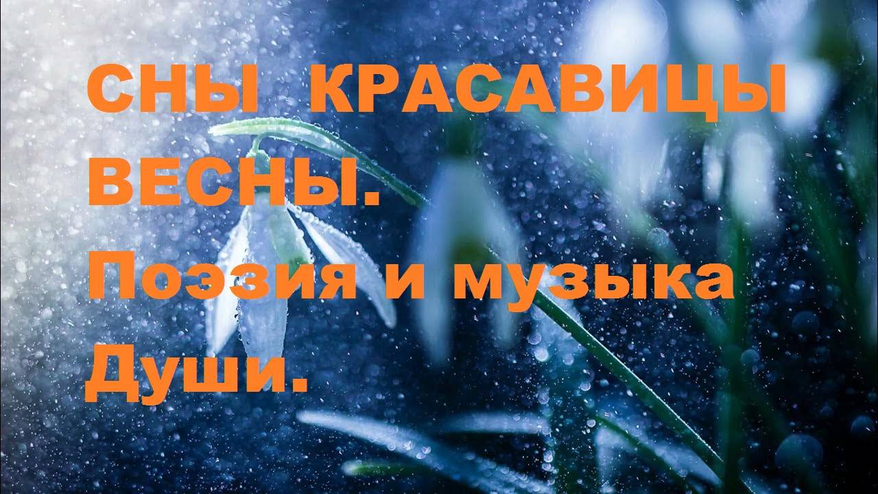 СНЫ  КРАСАВИЦЫ  ВЕСНЫ. Автор стихотворения и видео А. Соколов. Муз. Ф. Шопен ВАЛЬС ДОЖДЯ.