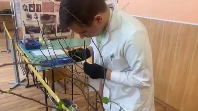 Региональный чемпионат профессионального мастерства по компетенции «Агрономии»