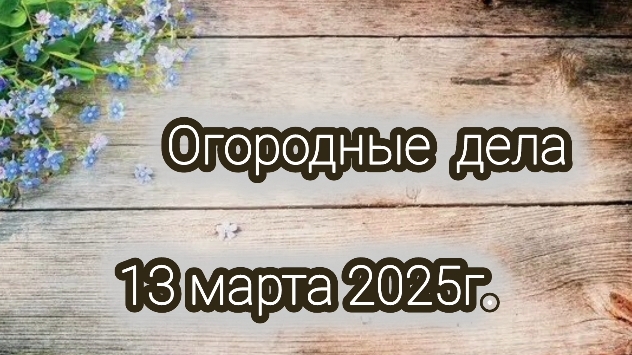 Огородные дела 13.03.2025г.