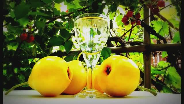 🥃 Самогон из Груш 🍐 (Грушовка)