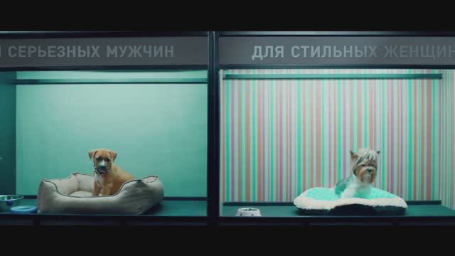 ГЛАВСТРОЙ