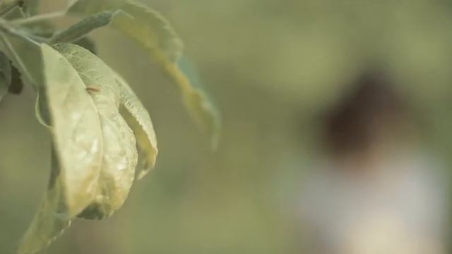 Шла по тропке...#мояпесня