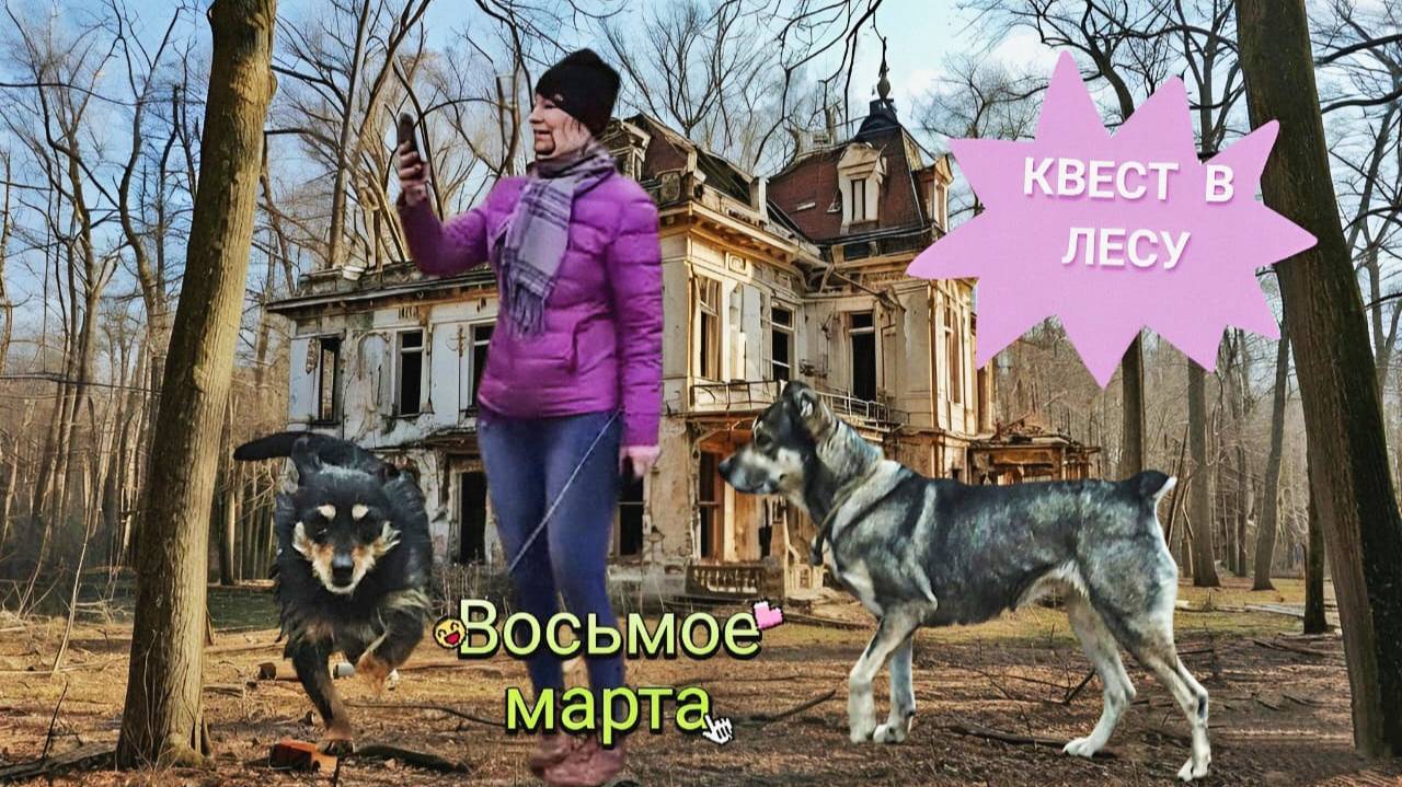 Счастливый женский день.Поход в лес